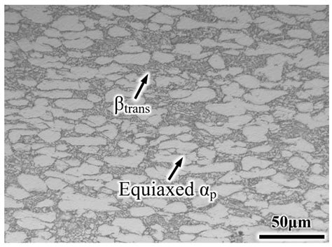 Deformation Behavior And Tensile Properties Of The Semi Equiaxed