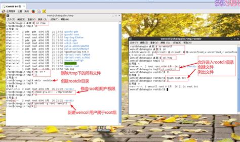 linux文件权限练习题 csdn博客