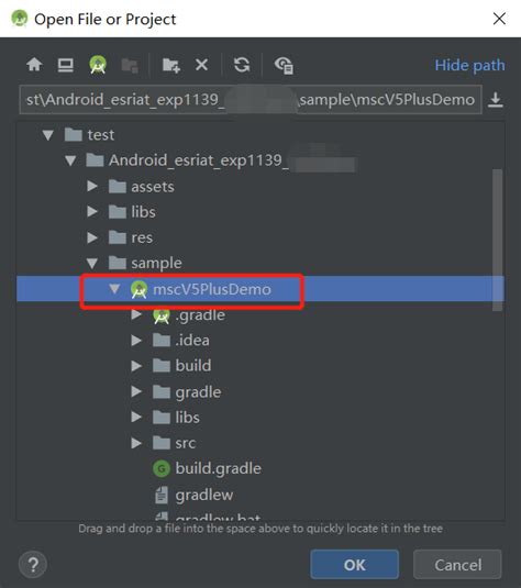 离线语音听写 android sdk 文档 讯飞开放平台文档中心