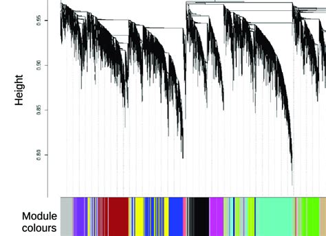 Gene Coexpression Modules A Consensus Fertile Network Generated