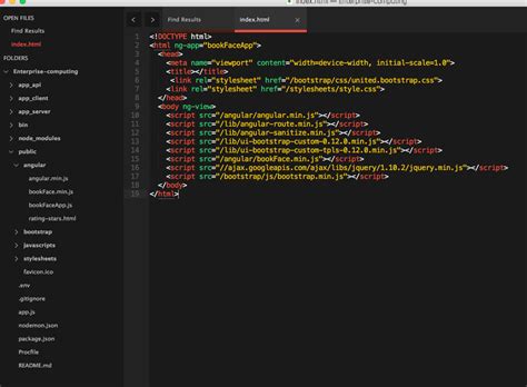 angularjs javascripts lib angular min js after deploying