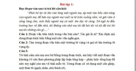 100 Viết Một đoạn Văn Ngắn Về Tình Mẫu Tử Và Hạnh Phúc Gia đình