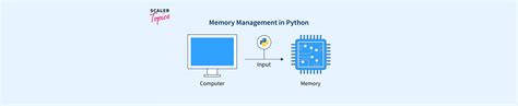 what is memory management in python scaler topics