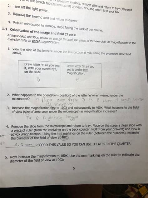 letter e microscope lab micropedia