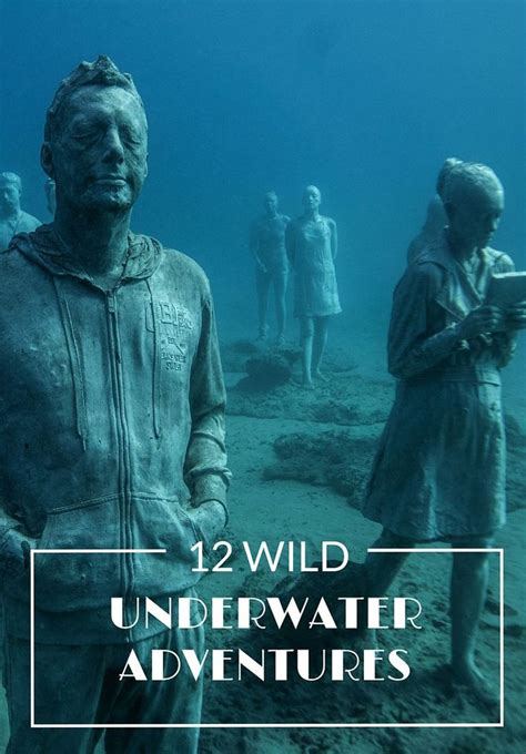Best Underwater Adventures Adventure Destinations Road Trip With
