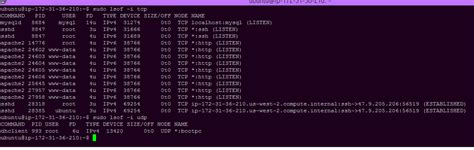 lsof command in linux with examples geeksforgeeks