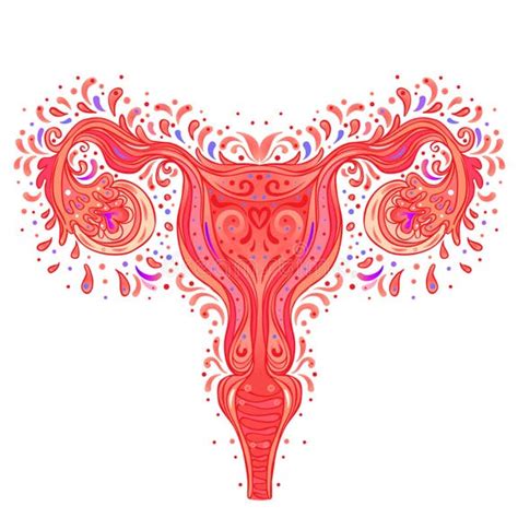 Uterus Stock Illustrations 15 101 Uterus Stock Illustrations Vectors