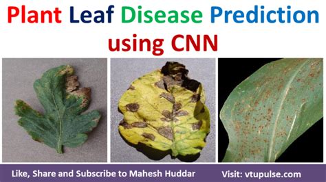 Plant Leaf Disease Detection Project Source Code Vtupulse