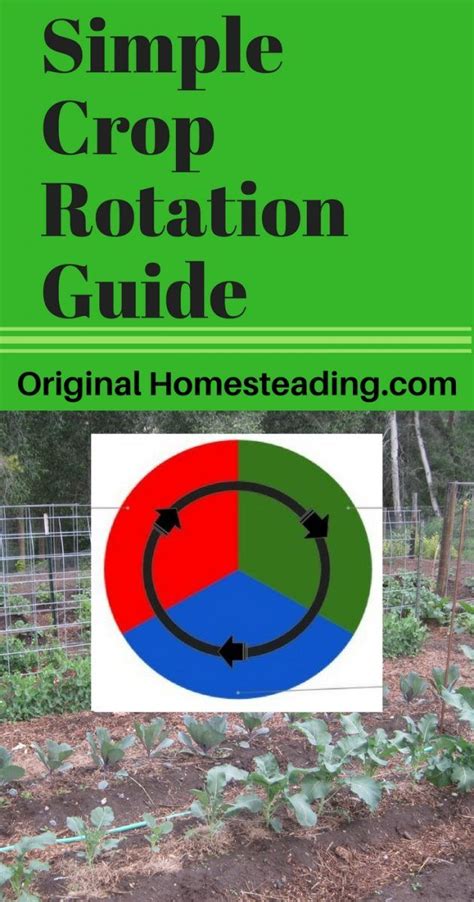 Vegetable Garden Crop Rotation An Easy Garden Guide Crop Rotation