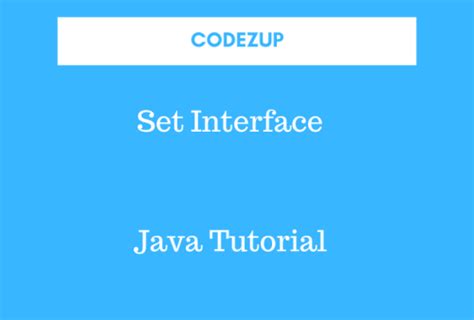 set interface java example codez up