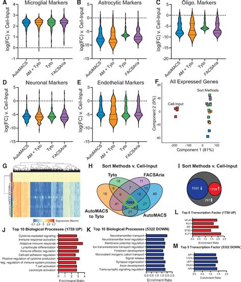 Minimizing The Ex Vivo Confounds Of Cell Isolation Techniques On
