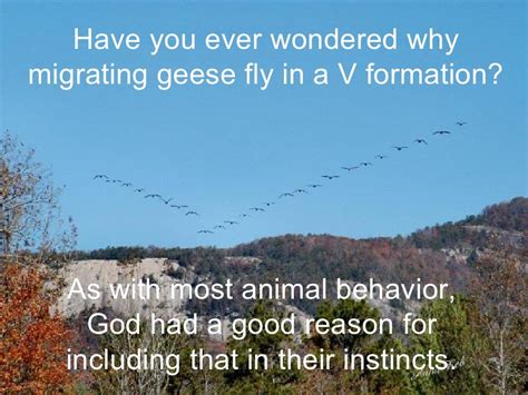 Have You Ever Wondered Why