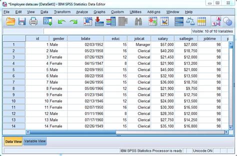 spss for the classroom the basics