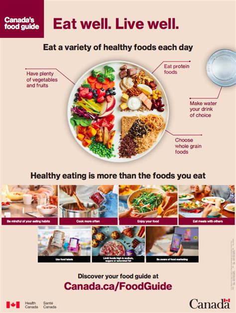 Here S What Canada S New Food Guide Looks Like – Artofit