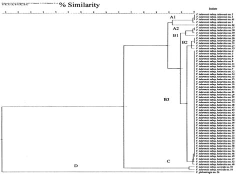 Dendrogram Showing The Results Of Cluster Analysis On The Basis Of The