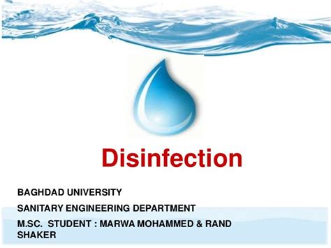 Disinfection Process