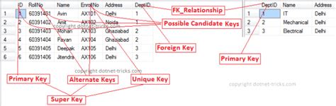 oracle sql pl sql primary vs unique key