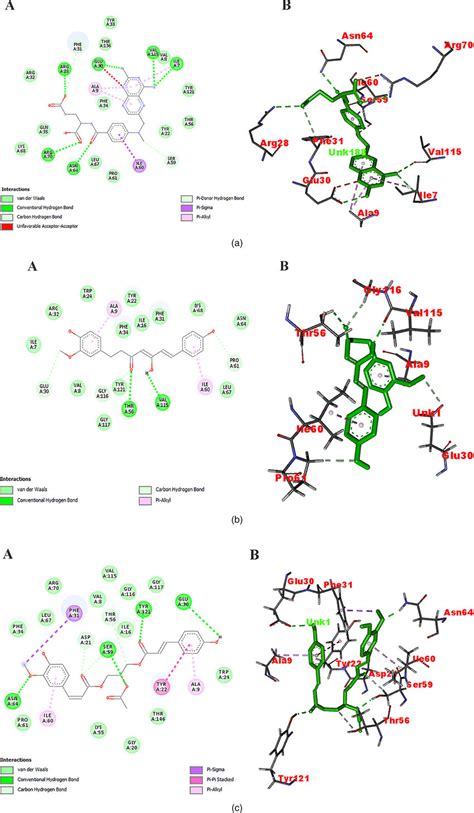 The 2d And 3d Interactions Of Hdhfr Ligand Complexes A Interactions