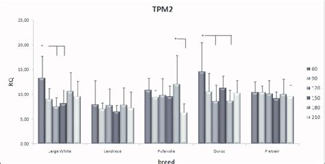 Relative Quantification Rq Of The Tpm2 Transcript Level In Porcine