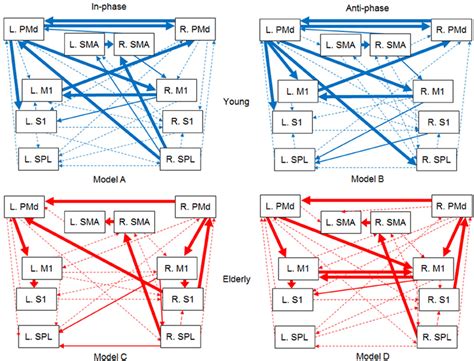 Frontiers Distant Functional Connectivity For Bimanual Finger