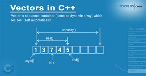 c vectors std vector containers library mycplus c and c