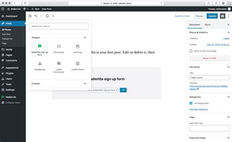 Mailerlite – Signup Forms Official – Wordpress Plugin