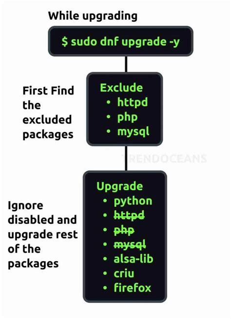 how to exclude packages from transactions using dnf in rhel linux