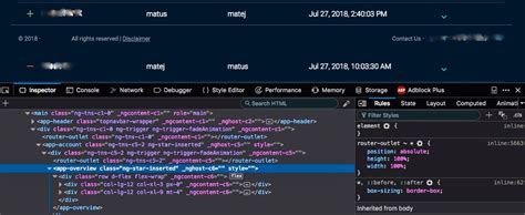 html angular 6 router outlet styling applied to element below it