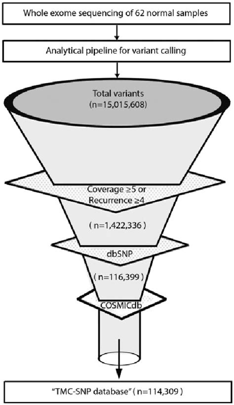 Development Of Tmc Snpdb Using Whole Exome Sequencing Schematic Flow