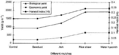 Mulch Induced Eco Physiological Growth And Yield Of Maize