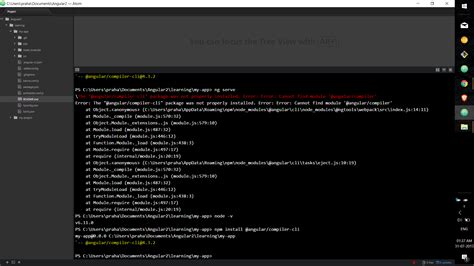 angular compiler cli package was not properly installed cannot find