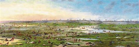 La Guerra Del Paraguay La Nacion