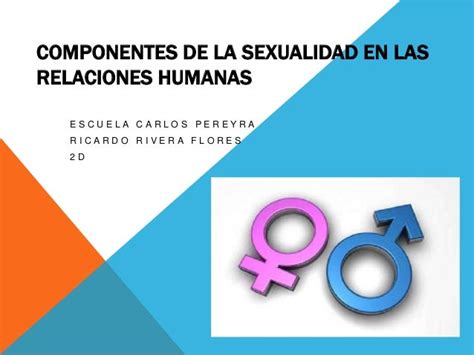 Componentes De La Sexualidad En Las Relaciones Humanas