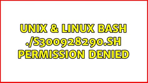 unix and linux bash s300928290 sh permission denied youtube