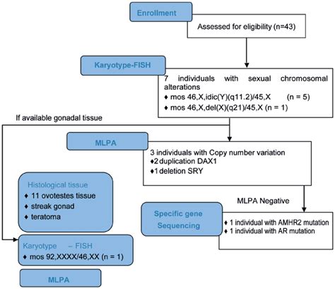 diagnostic algorithm multistep approach of a cohort in a colombian