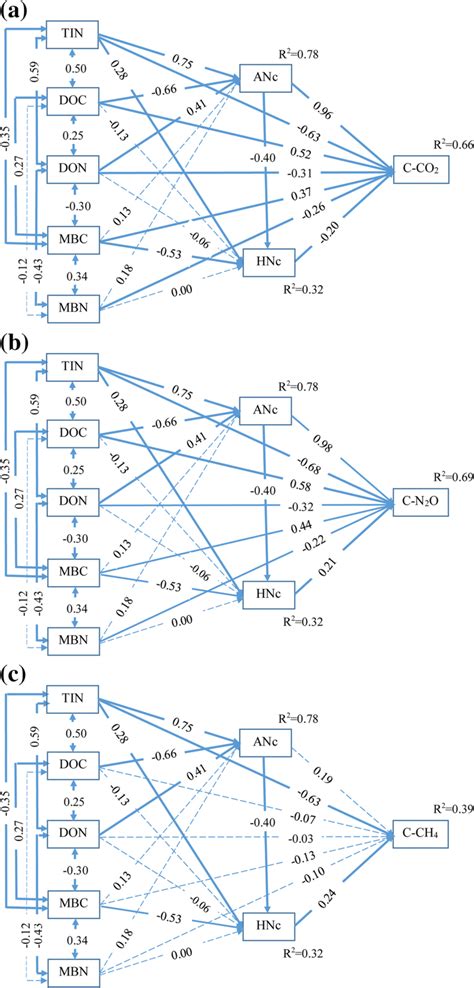 Structural Equation Modelings Sems Illustrating The Direct And