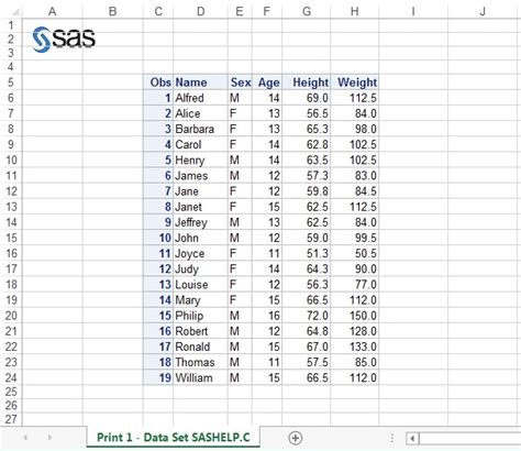 tips for using the ods excel destination sas博客列表