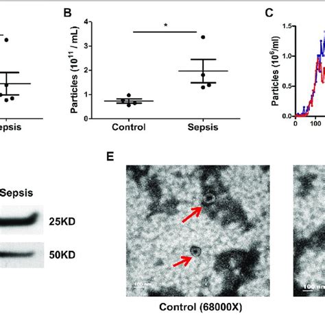 Target Gene Network Of Mir 483 3p And Let 7d 3p In Pathways With