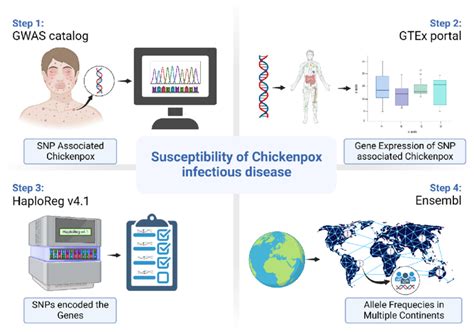 Schematic Of Custom Bioinformatics Pipeline To Identify Chickenpox
