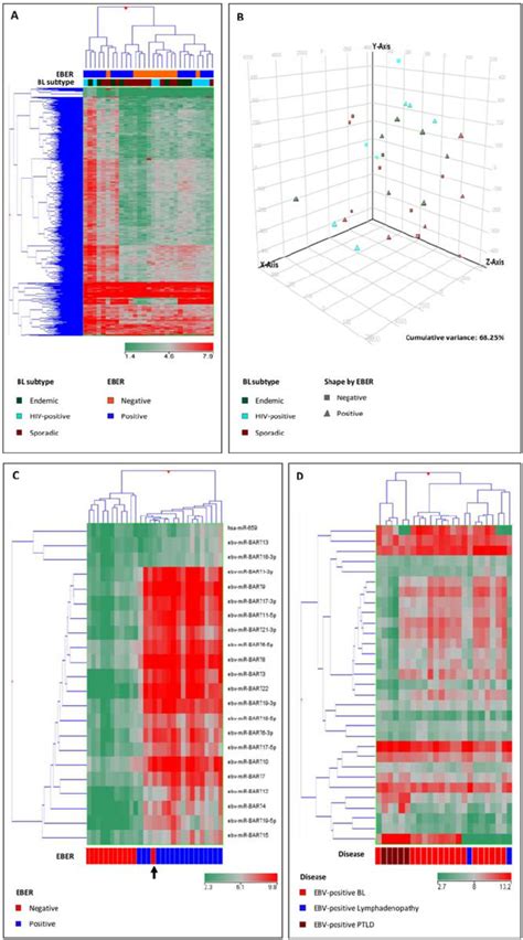 unsupervised analyses unsupervised hierarchical clustering a