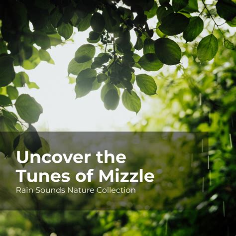 Uncover The Tunes Of Mizzle Album By Rain Sounds Nature Collection