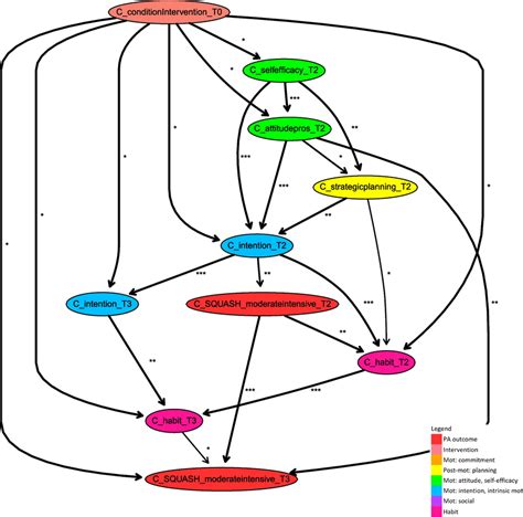 Fragment Of Bayesian Network Learnt For The Subpopulation Of Males