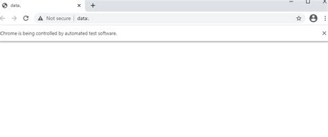 python unable to display website on chrome when ran the program