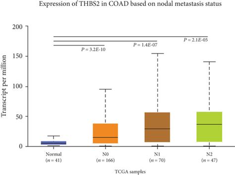 Box Plot Evaluating Thbs2 Expression Of Patients With Crc In Different