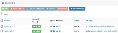 nginx proxy manager raspberry pi install instructions wundertech