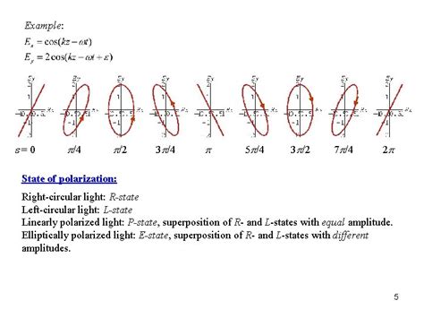 Chapter 8 Polarization January 20 22 Nature Of