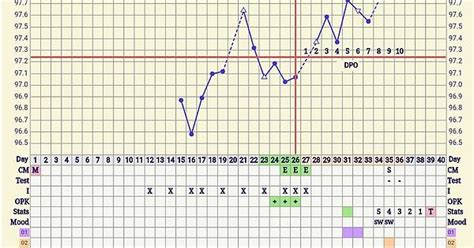 Is This Triphasic Bfn On Frer At 10 Dpo And Im Losing My Mind Over