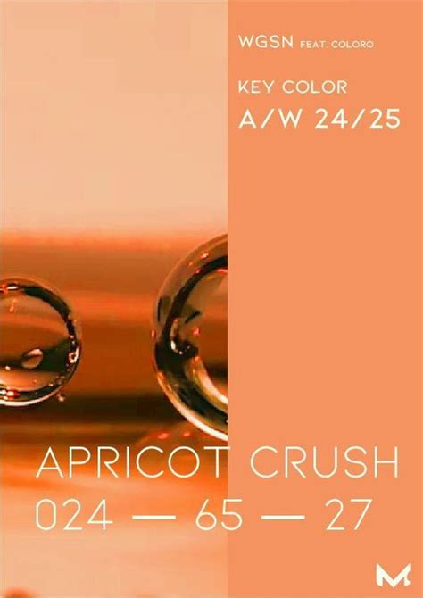 Apricot Crush Pantone Color Of The Year 2024 Color Trends Fashion
