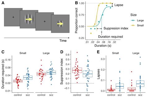 A Illustration Of The Perceptual Task B Psychometric Function