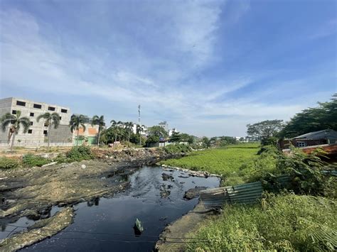 Hồi Sinh Kênh Tham Lương Bến Cát Rạch Nước Lên
